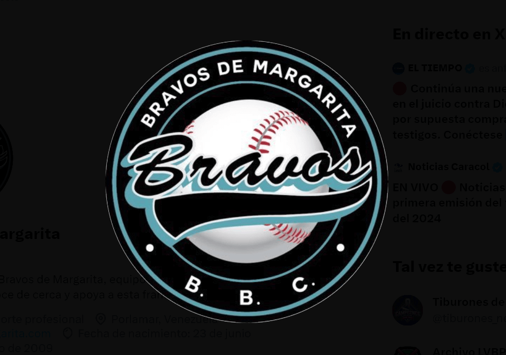 Nuevo Logotipo De Los Bravos